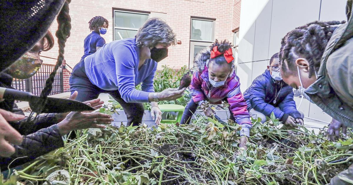AFT launches School Meals for All campaign | American Federation of ...